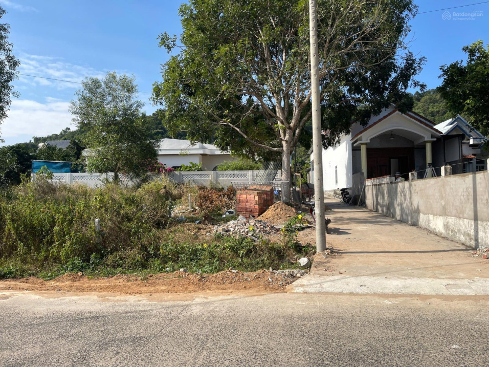 BÁN ĐẤT LÔ GÓC HAI MẶT TIỀN CÂY THÔNG NGOÀI GIÁ TỐT TẠI ĐẶC KHU PHÚ QUỐC