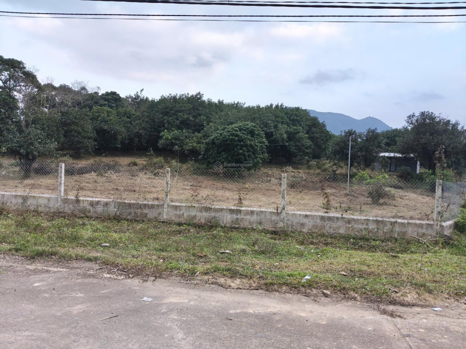 BÁN ĐẤT NHÀ VƯỜN GẦN KDL BÀ NÀ Diện tích: 4.600m² Có sẵn nhà vườn ...