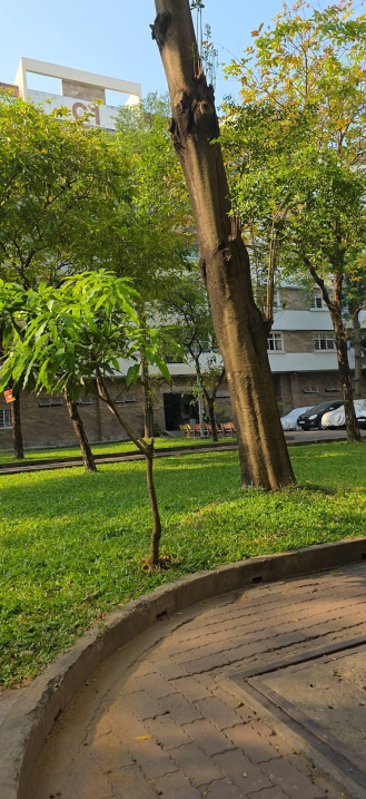 BÁN CĂN HỘ CHUNG CƯ C2 3PN+2WC. GIÁ 2T670