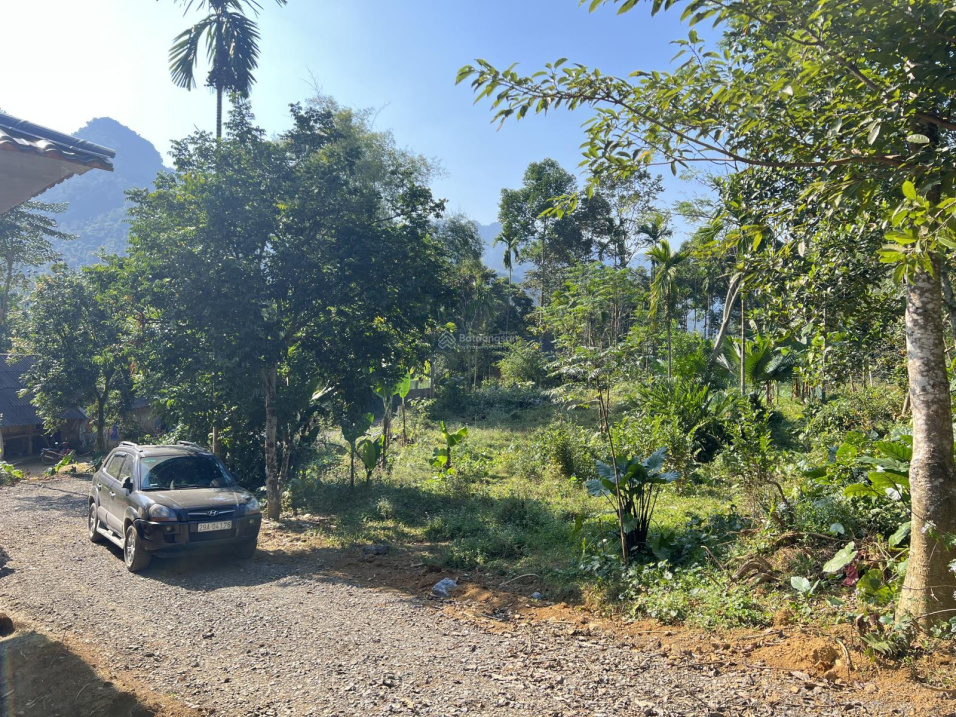 LÔ ĐẤT ĐẸP GẦN SÔNG BÔI GẦN TỈNH LỘ SÁT DÂN CƯ THỰC TẾ ,KHÍ HẬU ÔN HOÀ ...