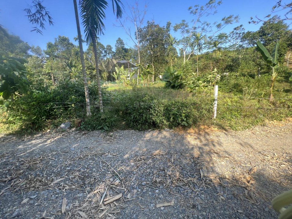 LÔ ĐẤT ĐẸP GẦN SÔNG BÔI GẦN TỈNH LỘ SÁT DÂN CƯ THỰC TẾ ,KHÍ HẬU ÔN HOÀ ...