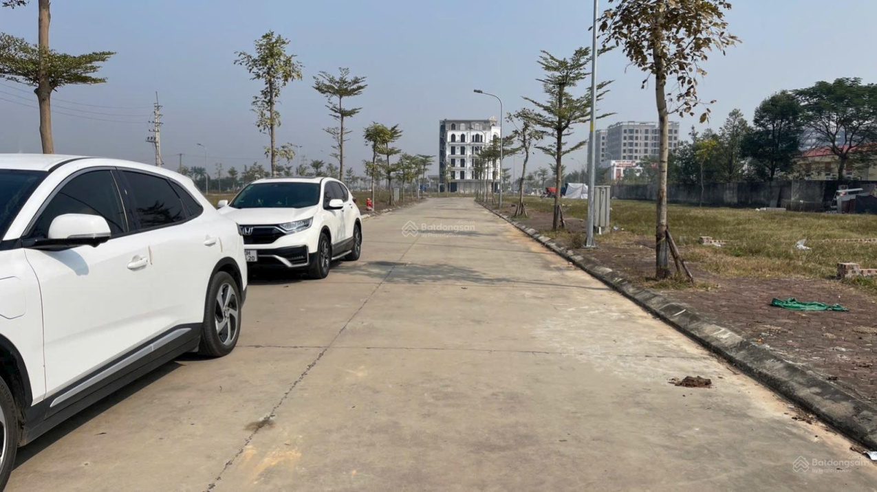 100m bạch đa kim hoa mê linh hà nội