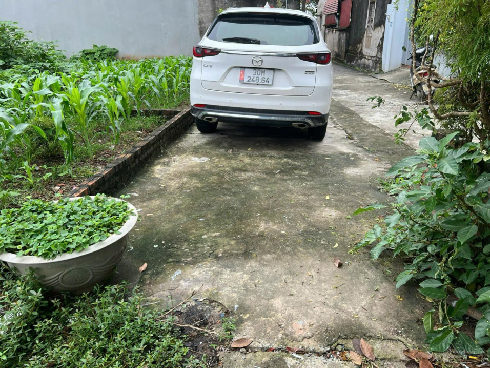 Bán lô đất Ngọc Tảo Phúc Thọ 80m2 ô tô đỗ cửa chỉ 2,8 tỷ mặt tiền 4m ko ...